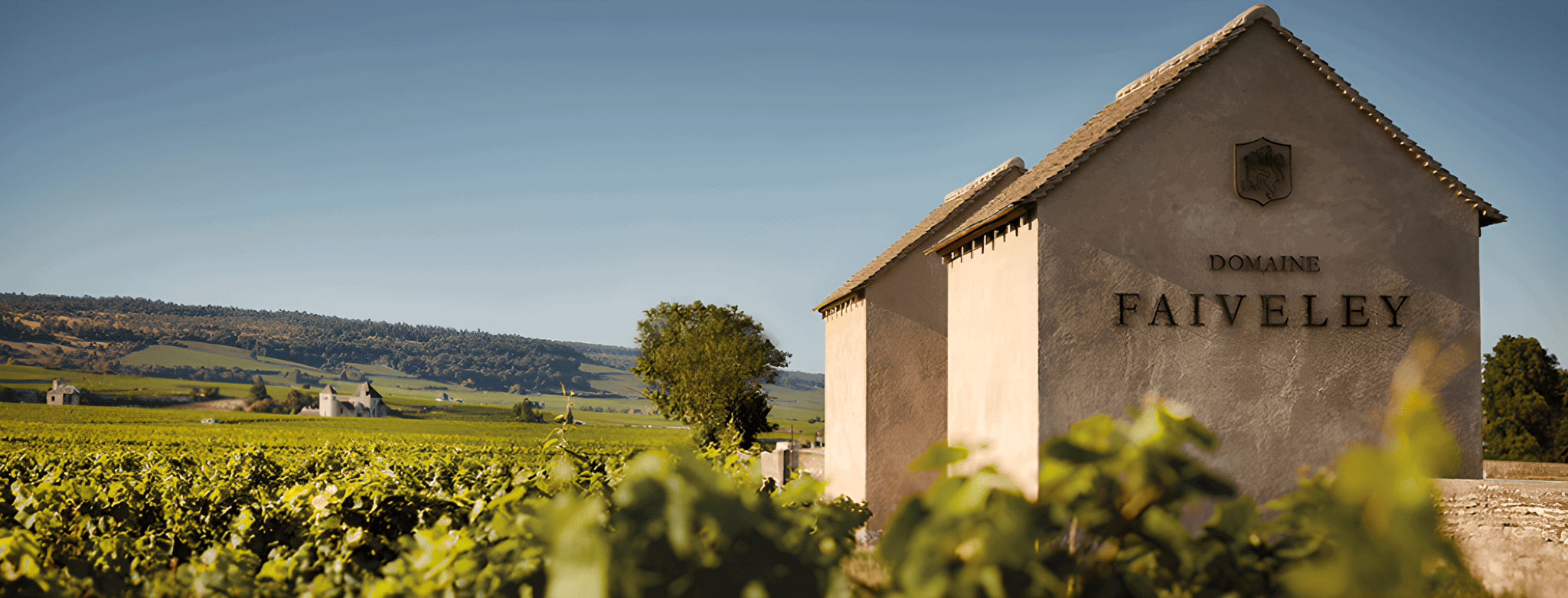 Domaine Faiveley - Sành Rượu