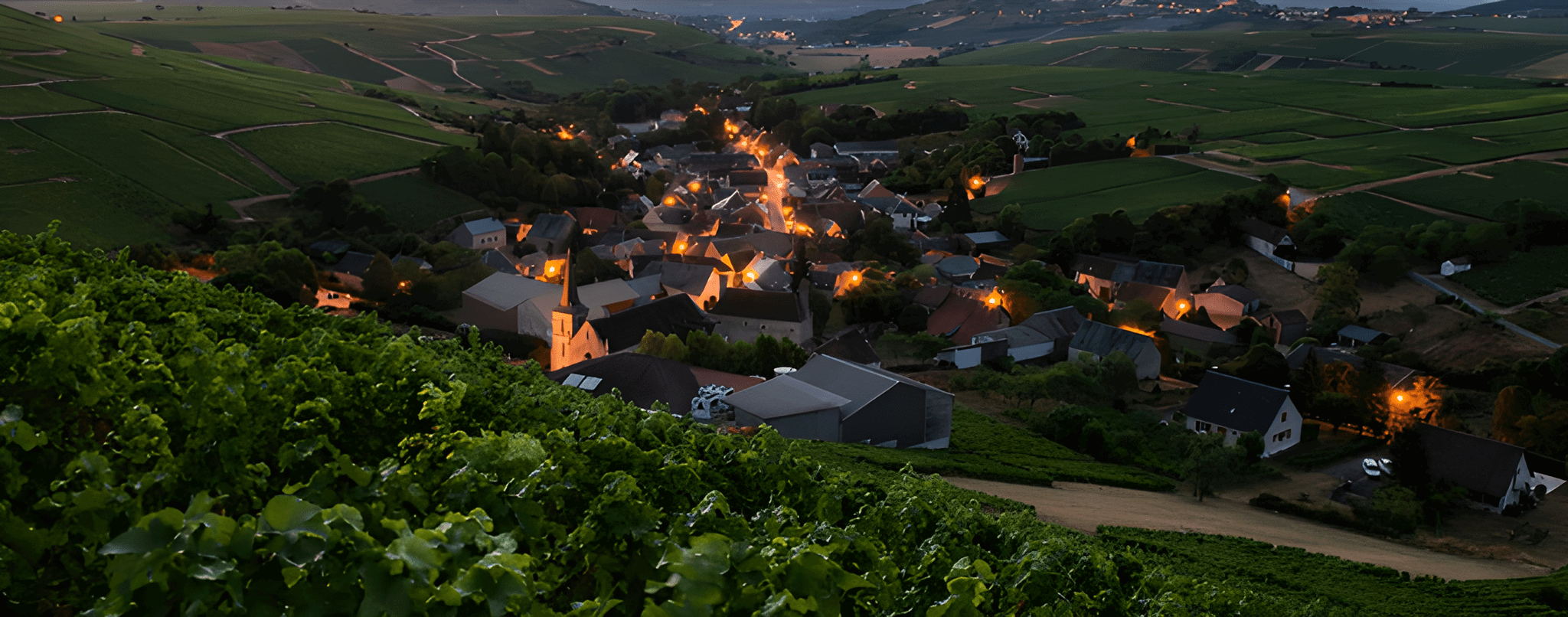 Henri Bourgeois - vang Pháp - Sành Rượu